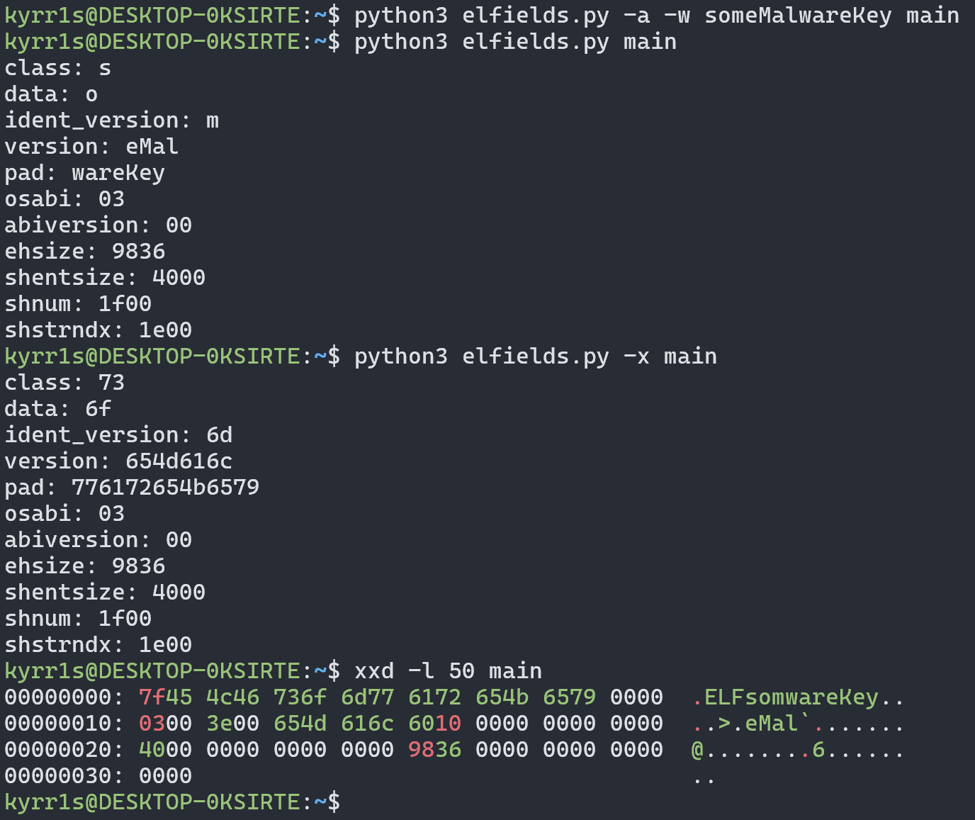 Abusing ELF Files' forgotten fields | Kyrr1s